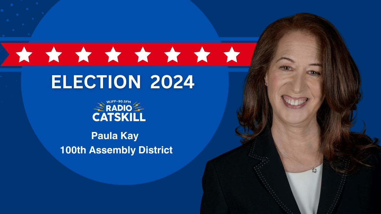 Election 2024: Paula Kay NYS Assembly District 100, Candidate Interview ...
