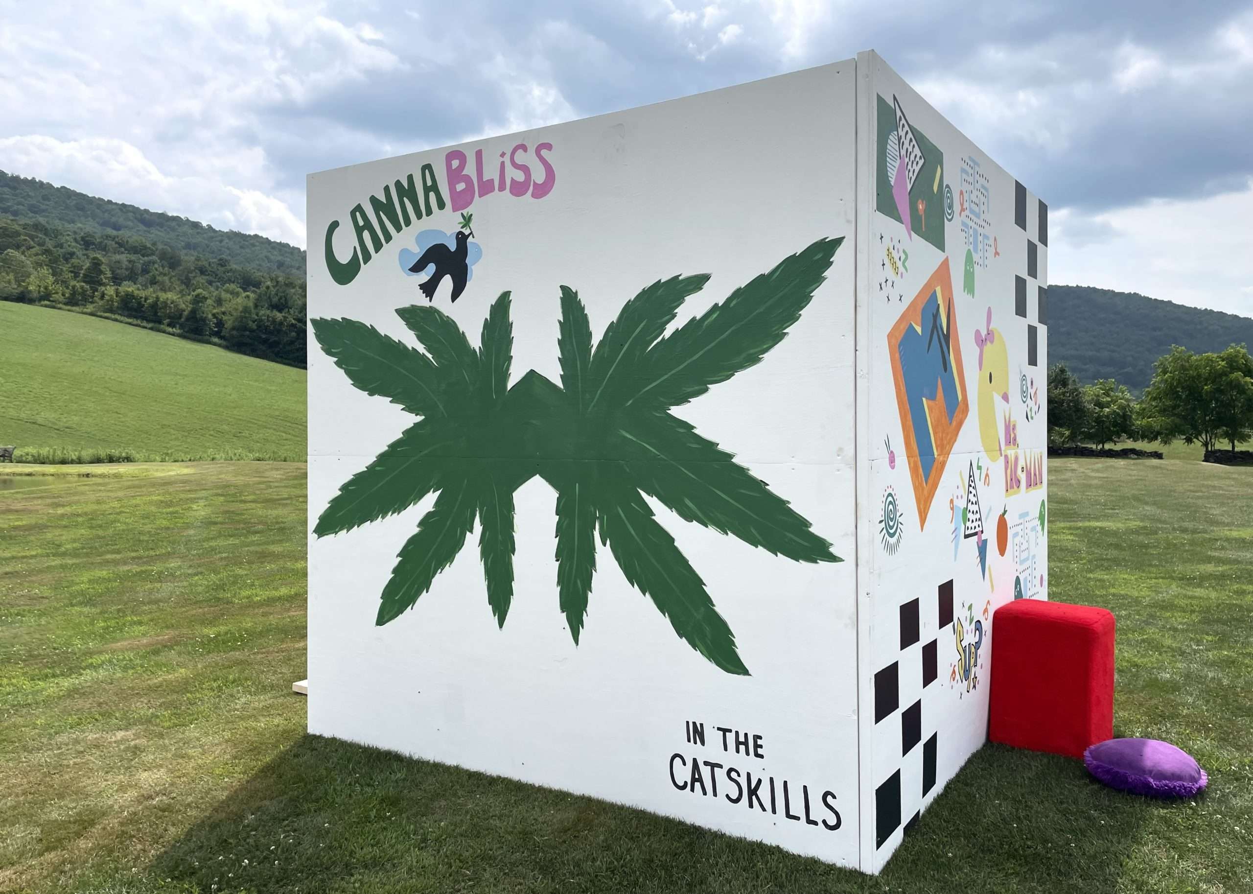 “We Brought the Weed to the Farm”: CannaBLISS Festival in the Catskills ...