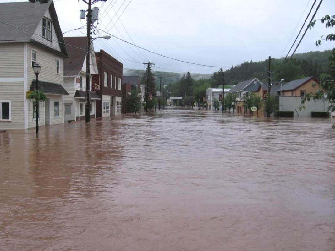 Livingston Manor Eyes Long-Term Flood Fix with Willowemoc Floodplain ...